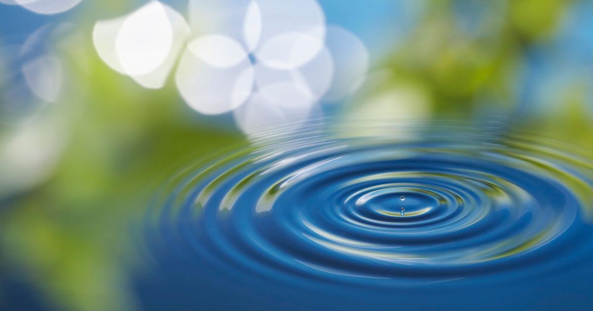 Young JW3: Breathwork Series | JW3